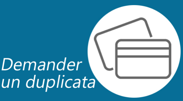 Accueil CTBR : Compagnie des transports du Bas-Rhin